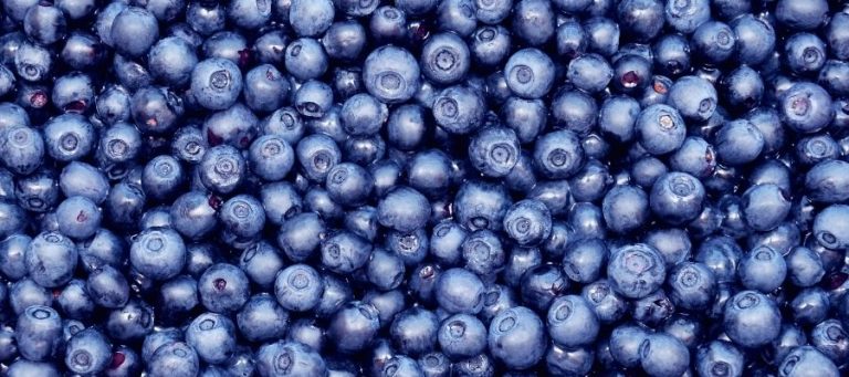 Blueberry Weights With Conversion Charts - Weigh School