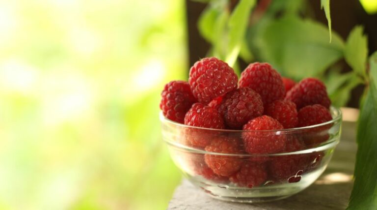 How Many Calories Are In A Cup Of Raspberries? - Weigh School